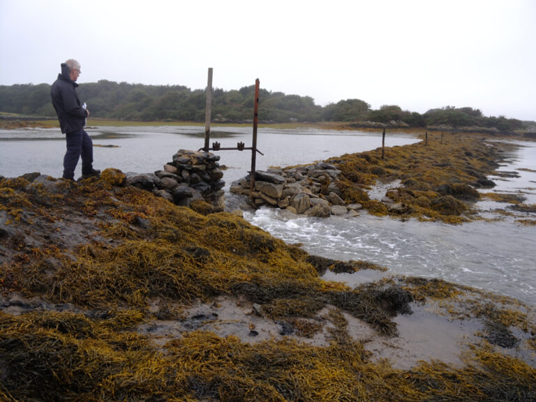 Bodior Tide Mill - Anglesey History