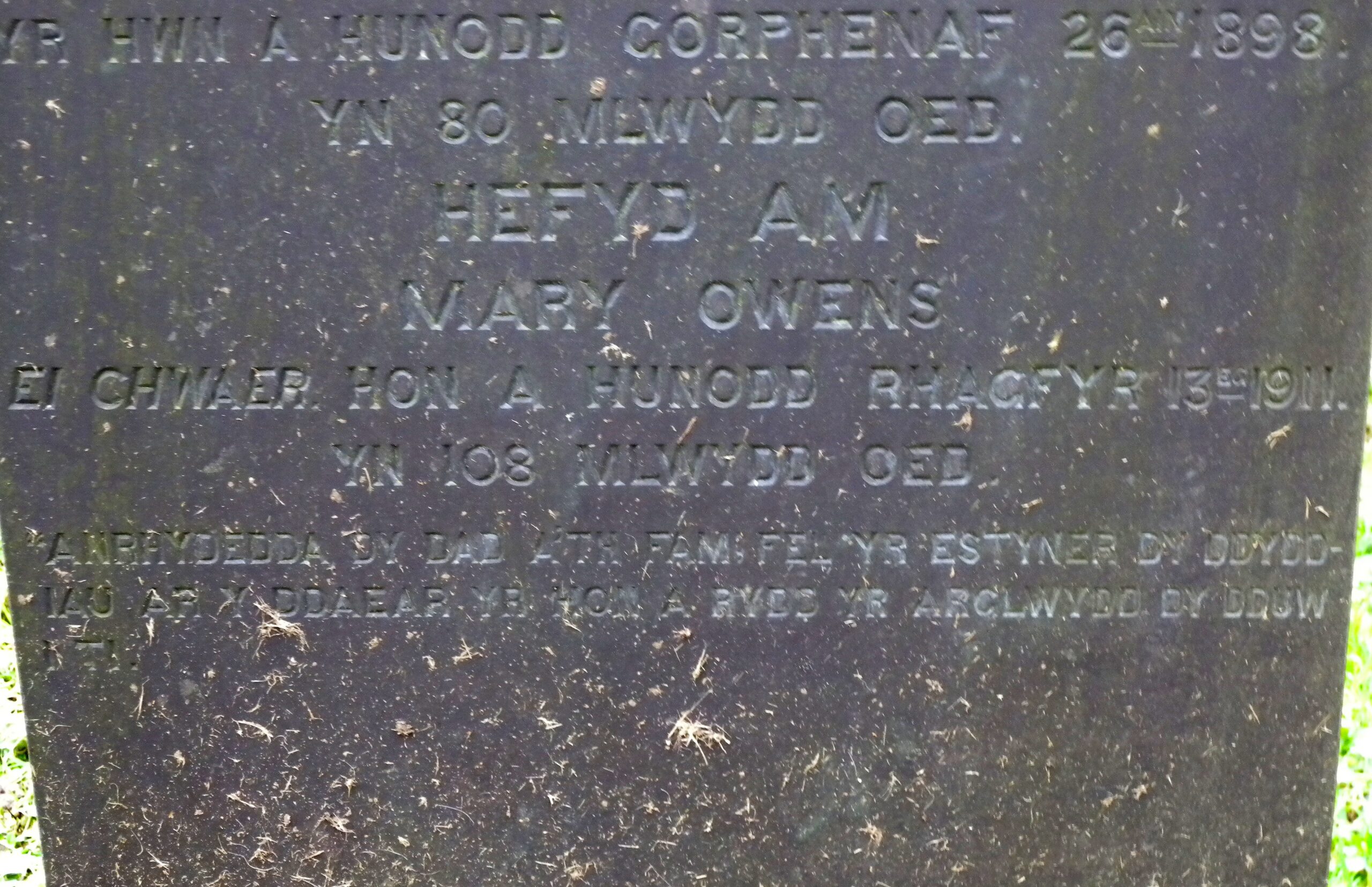 The Many Ages of Mary Owen - Anglesey History